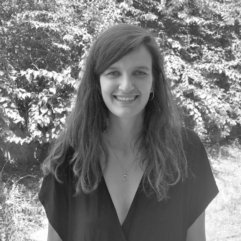 Team and publications – Globalisation, Education and Social Policies